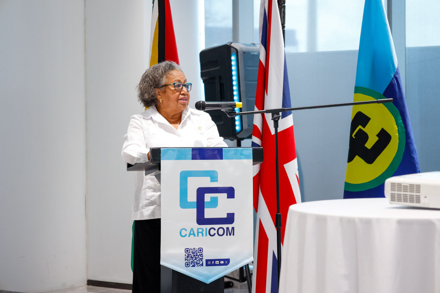 Remarks by CARICOM Secretary-General | Opening of the Draft CARICOM ...